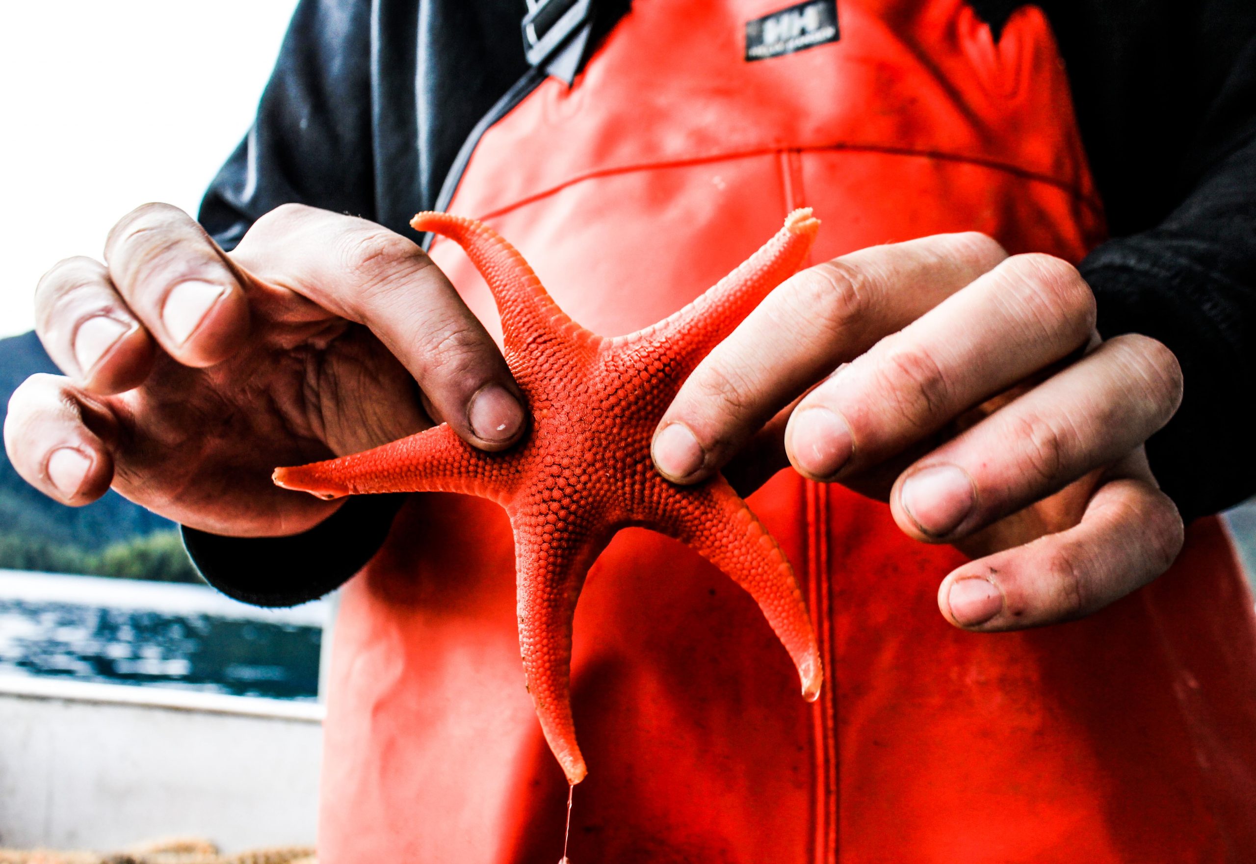 Ecotrust Canada - Building an economy that provides for life