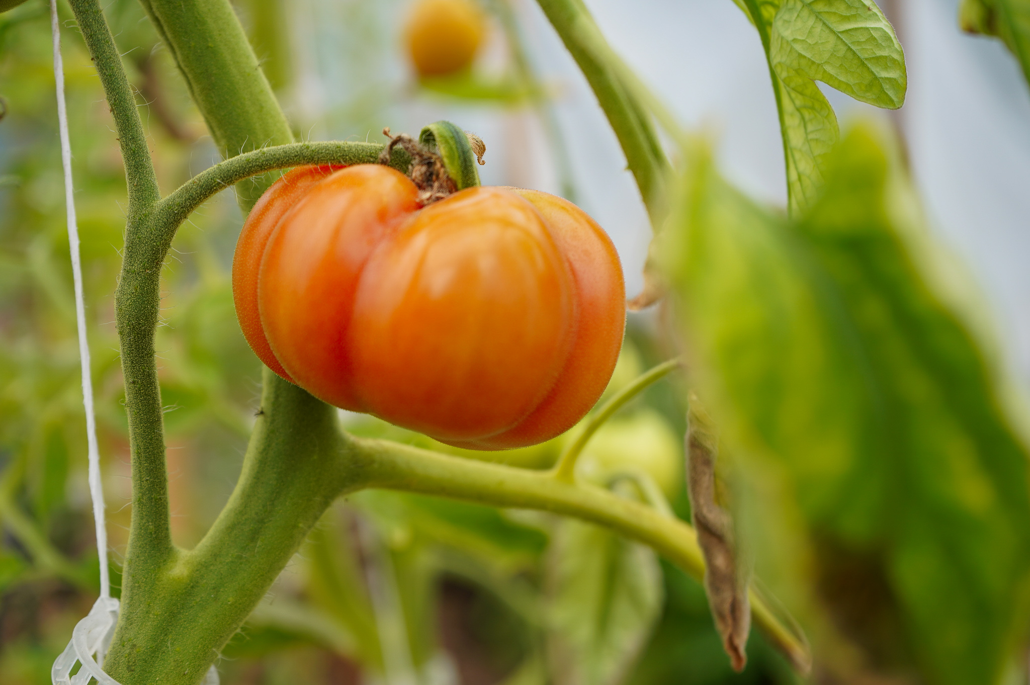 Food Systems - Ecotrust Canada
