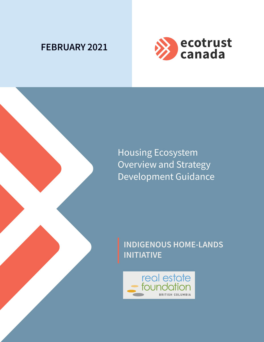 Housing Ecosystem Overview Strategy Development Guidance Report ...
