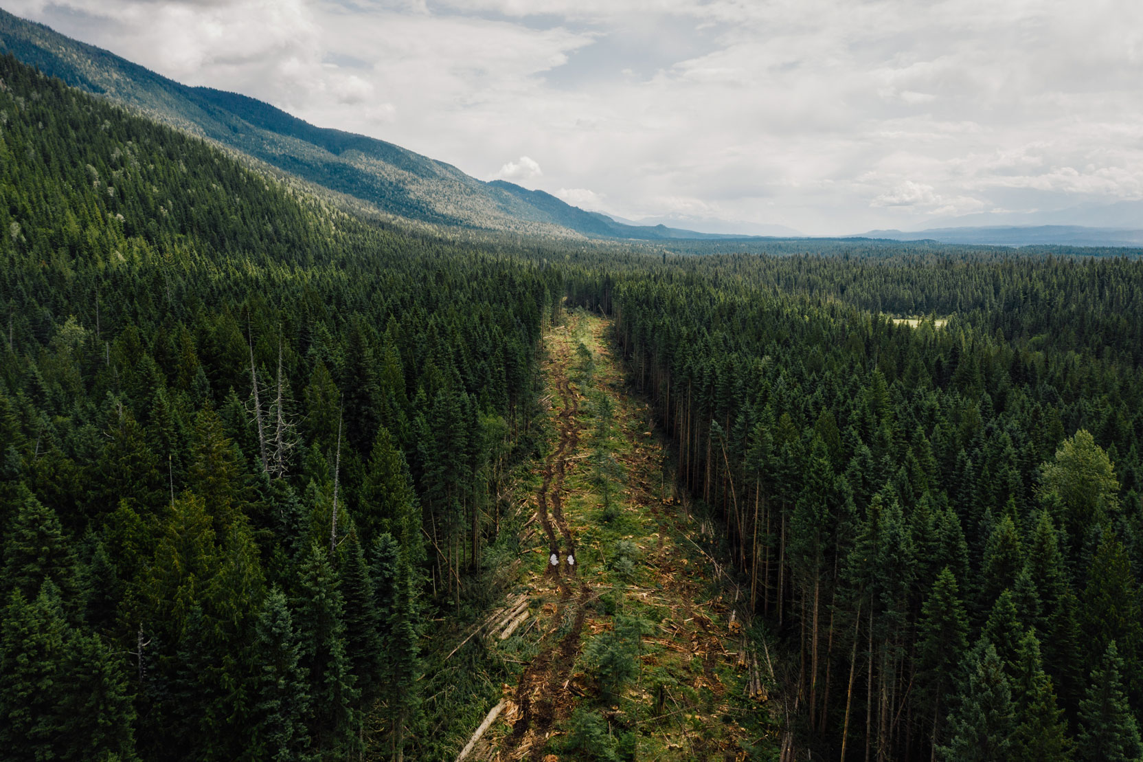 Climate Resilience Network in the Central Interior of BC - Ecotrust Canada