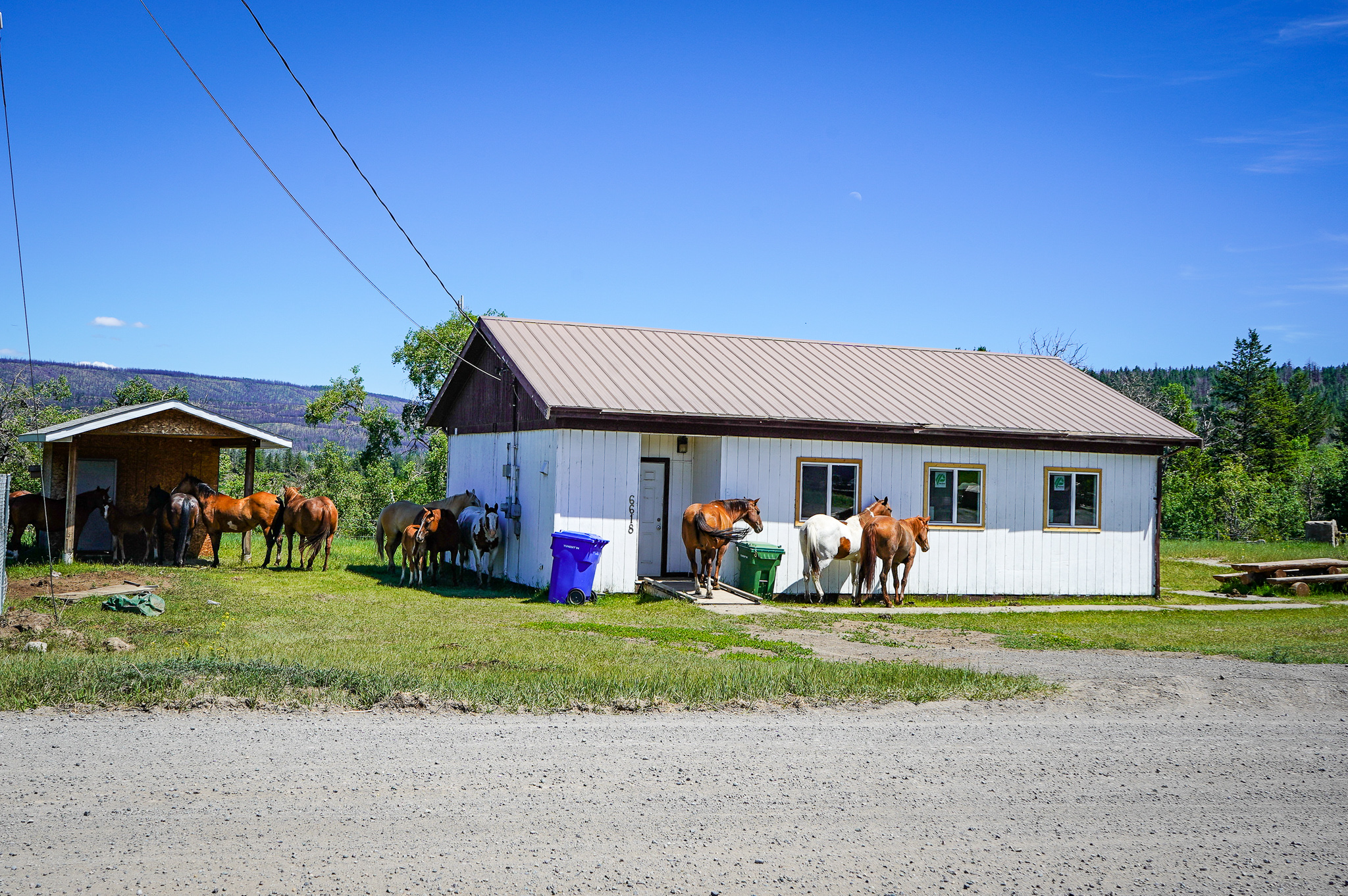 First Nations Housing and Lands: Shared Equity Ownership Models ...