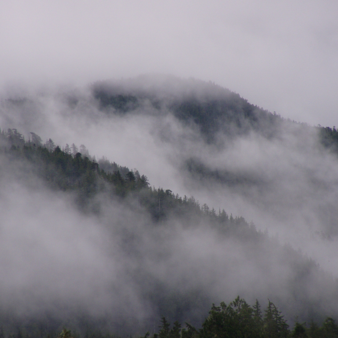 Climate - Ecotrust Canada