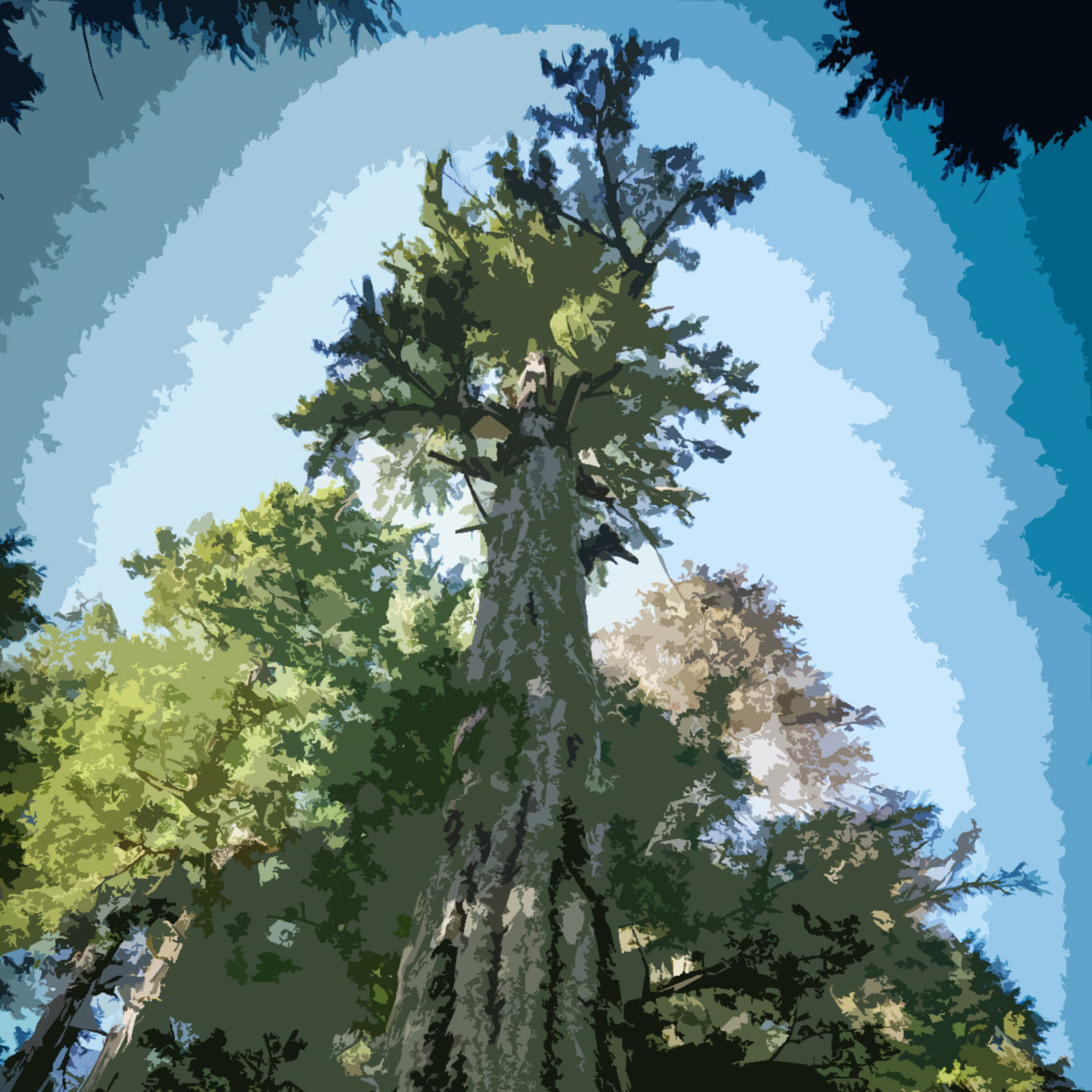 Strategic Plan - Ecotrust Canada