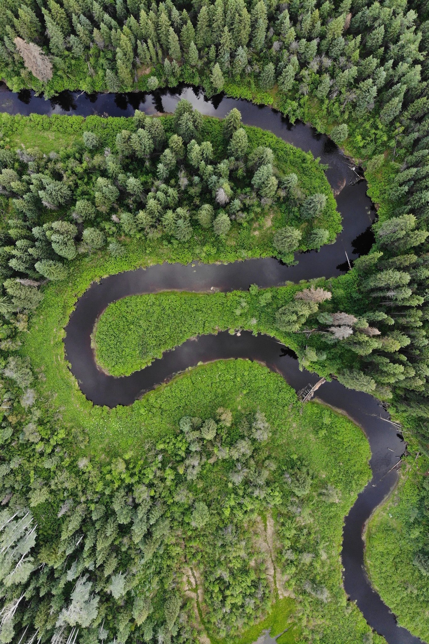 First Nations Forest Carbon Toolkit - Ecotrust Canada