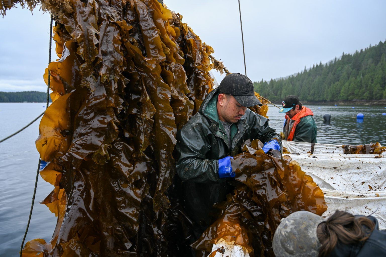 Regenerative Ocean Farm - Ecotrust Canada