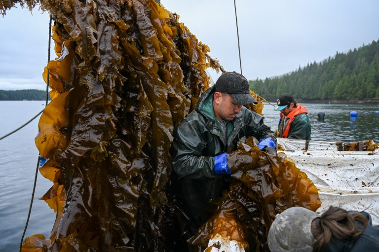 Regenerative Ocean Farm - Ecotrust Canada