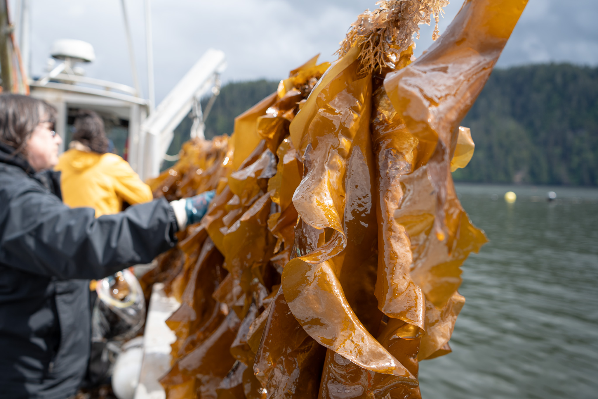Careers - Ecotrust Canada