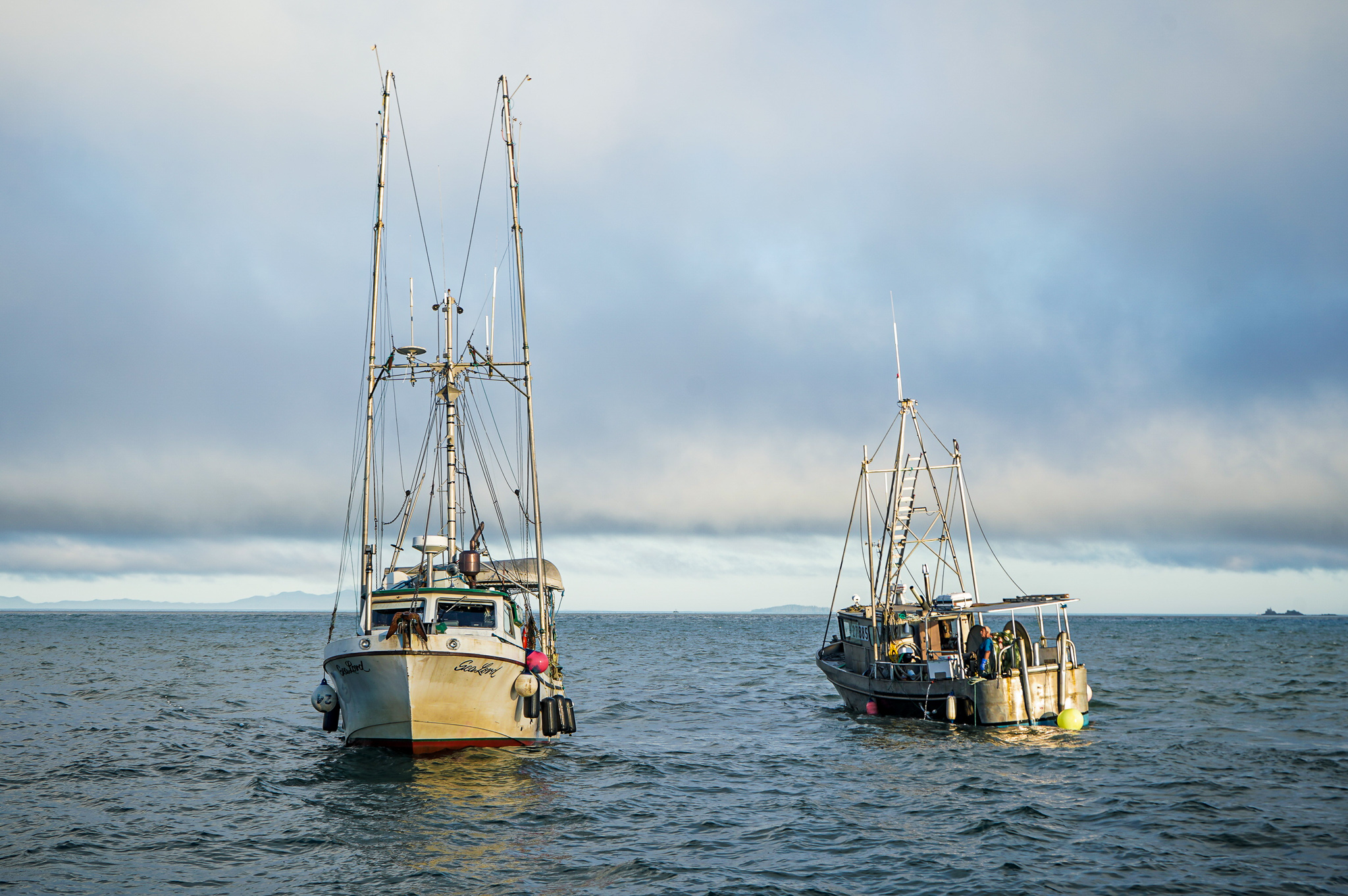 Find out what we’re working on in 2025 - Ecotrust Canada